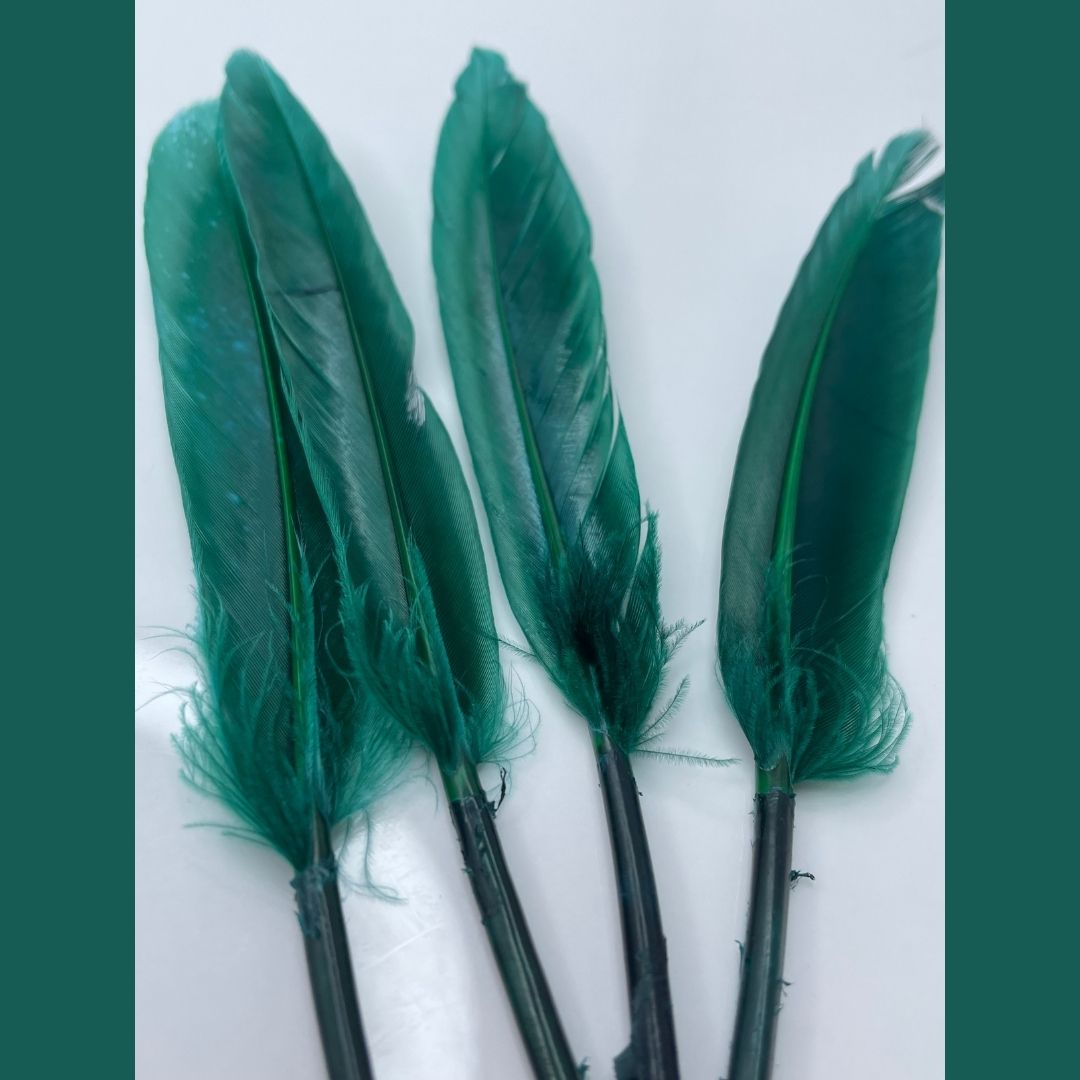 The Feather Queen – Bikinis and Stuff