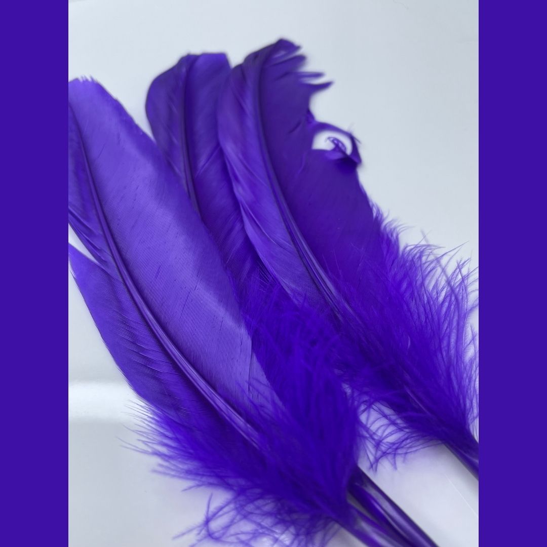 The Feather Queen – Bikinis and Stuff